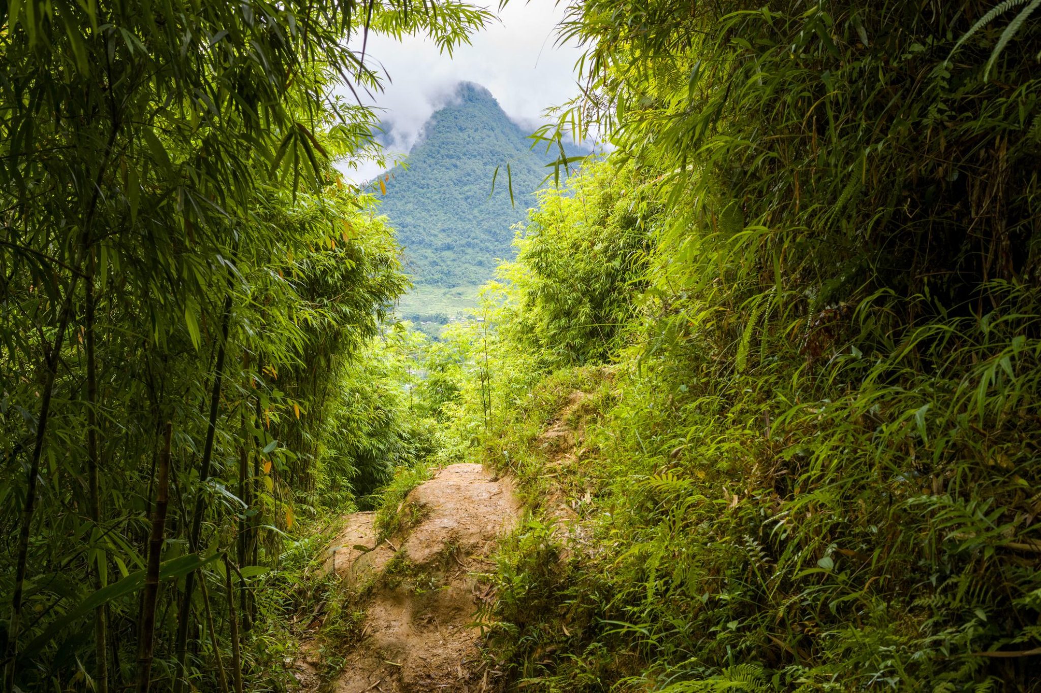 Pu Luong Trekking Map: Best Trails and Villages in Pu Luong Nature ...